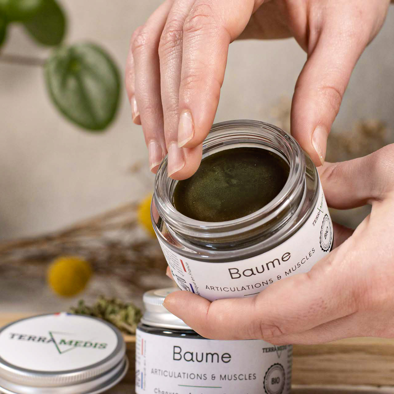 Baume CBD Bio - Articulations & muscles | TERRAMEDIS